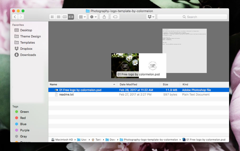 BeatColor | 100 Free Photography Logo Templates >> Beat Color