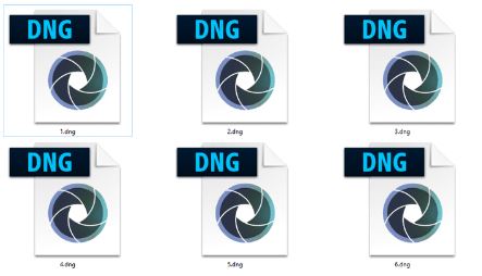 BeatColor | Get to Know More About DNG File and the Difference with Raw ...